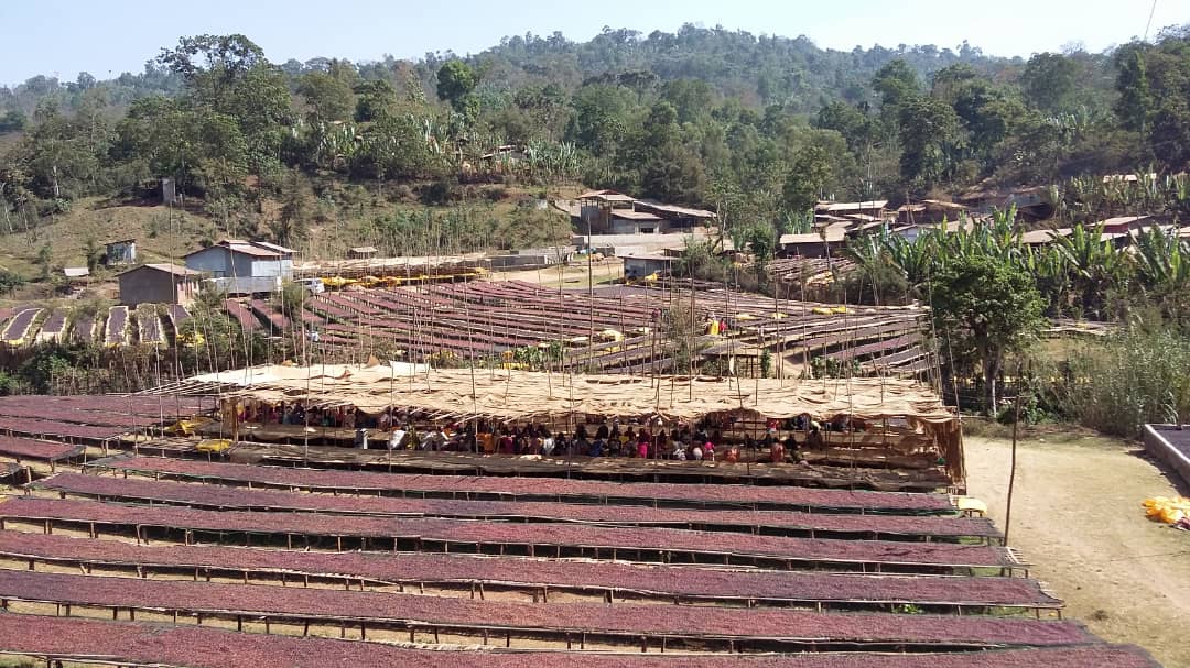 Index of /wp-content/uploads/2022/09